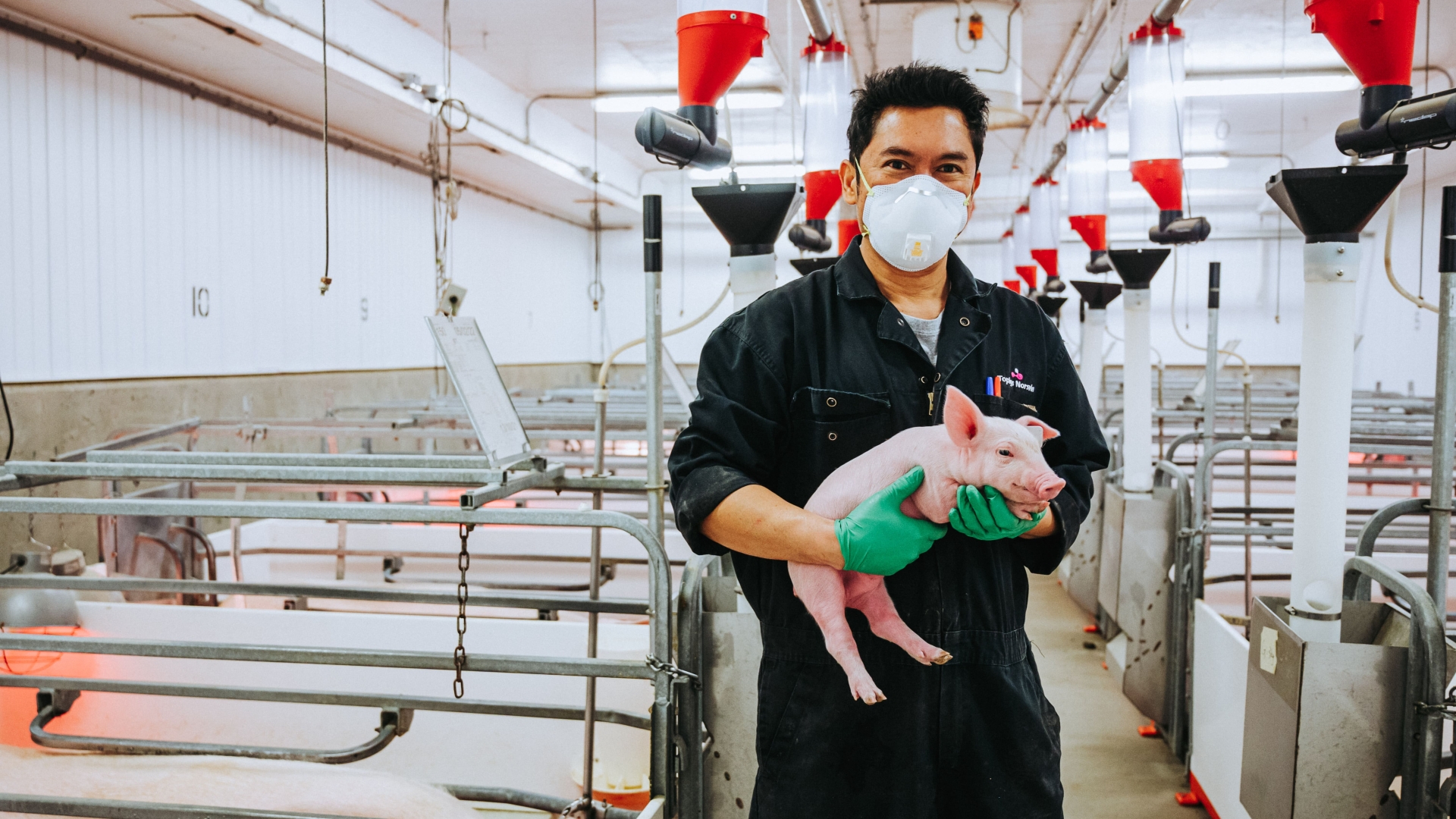 Assiniboine Collaborates With Industry Partners To Offer Swine
